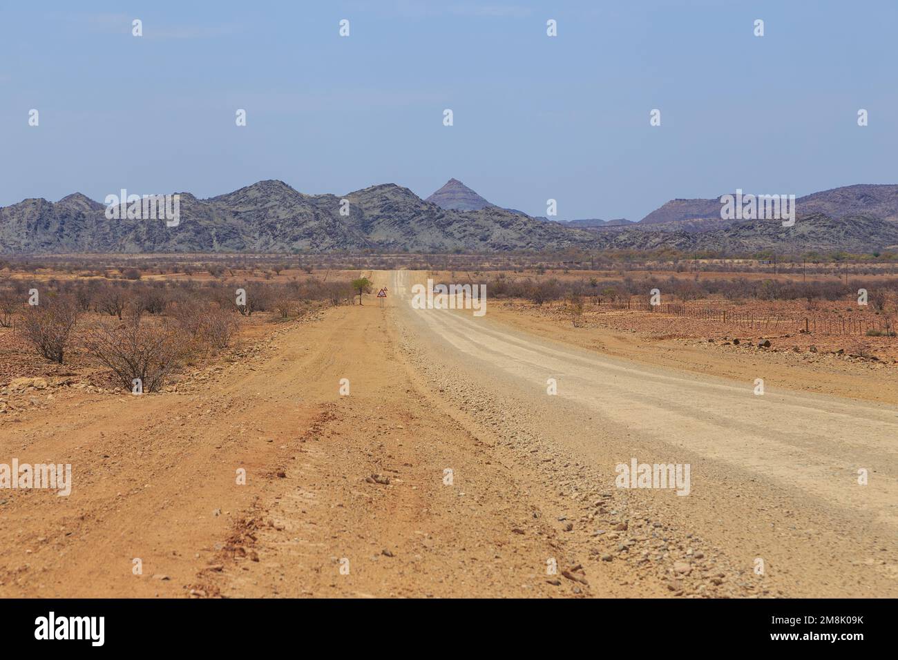 Namibian landscape along the gravel road. Yellow ground and African ...