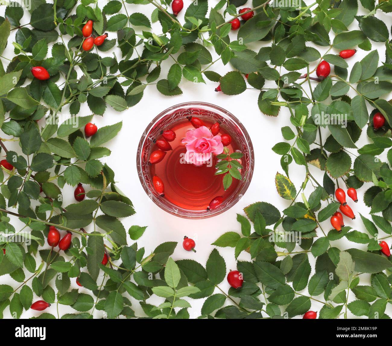 Cup of red rosehip tea on background with fresh leaves and berries ...