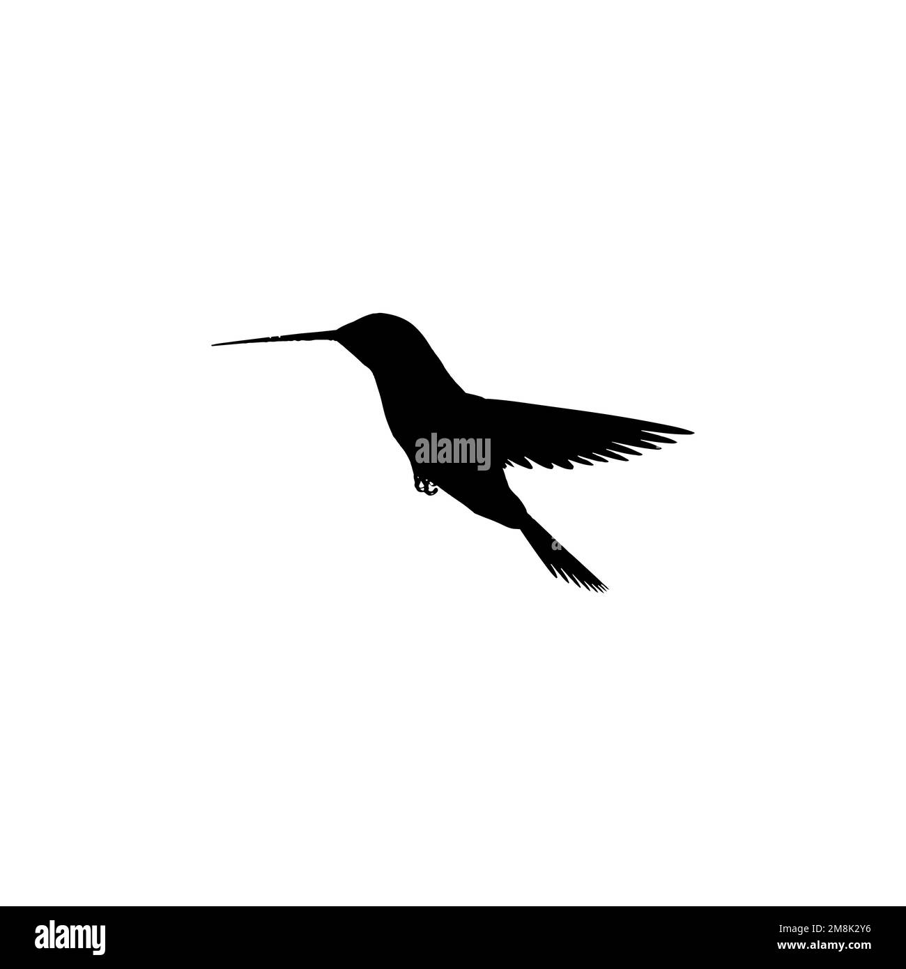 Humming bird icon. Simple style safari travel agency big sale poster ...