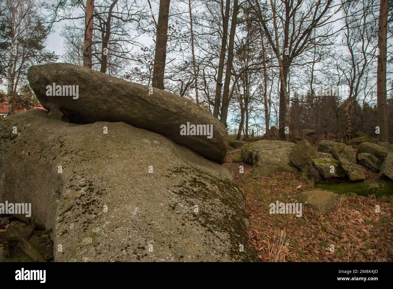 Granite stones in the forest - hiking in the Waldviertel, Austria Stock ...