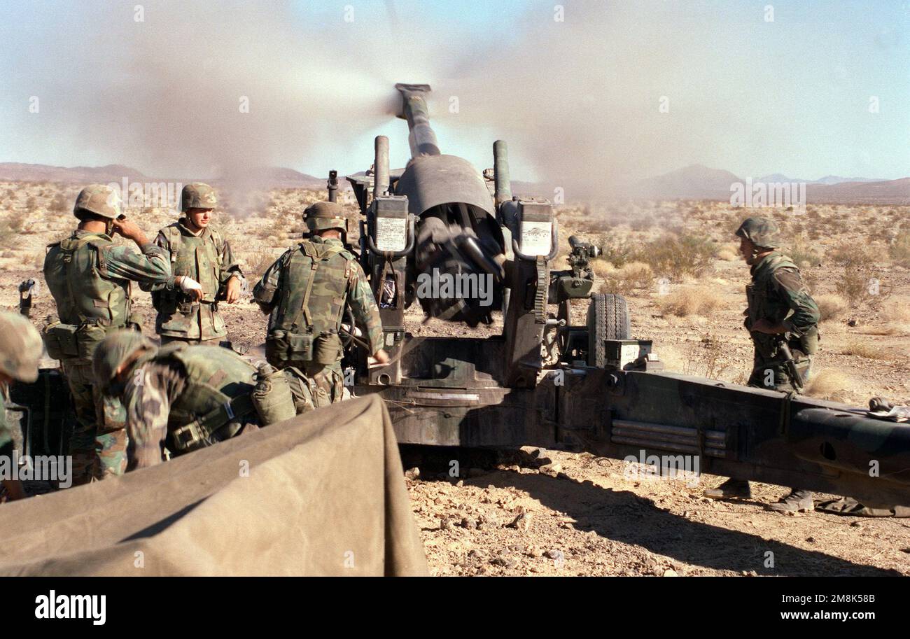 Rear view, several gun crewmen, one holding lanyard, around breach of ...