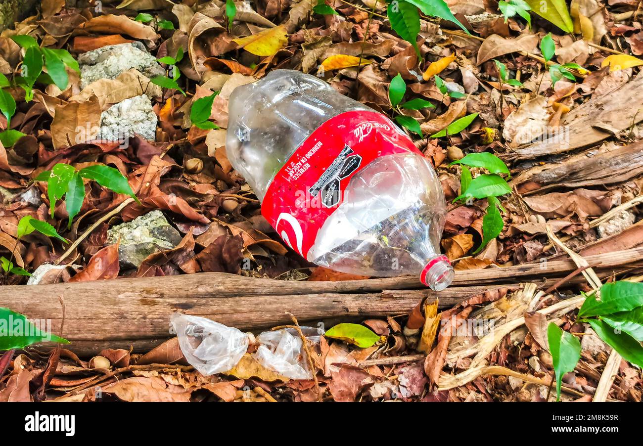 Garbage waste litter and pollution in nature in Playa del Carmen ...