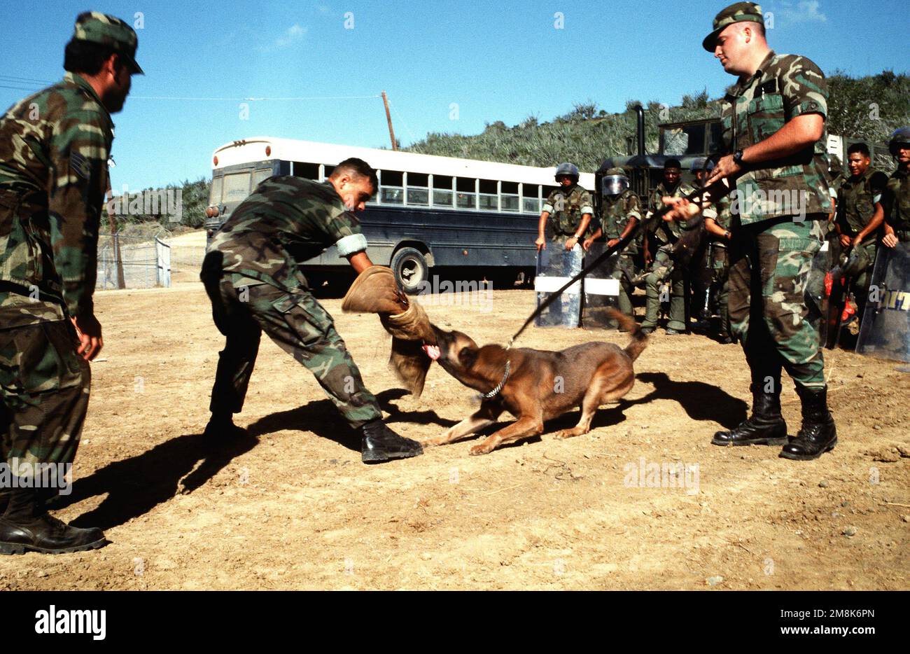 US Air Force security specialists work with US Marine Corps personnel ...
