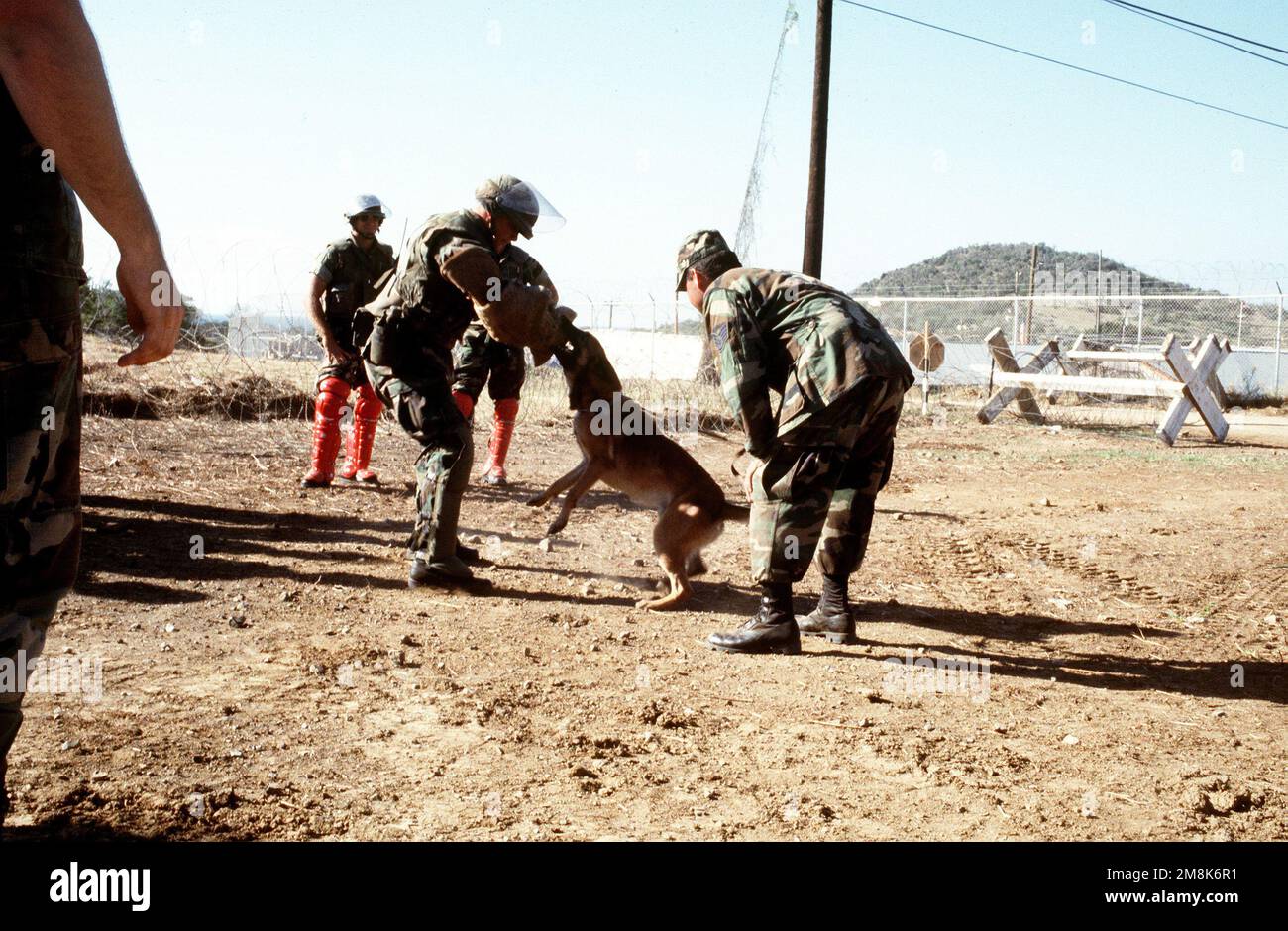 US Air Force security specialists work with US Marine Corps personnel ...