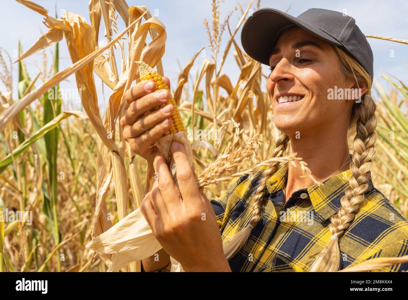 Female checking corn hi-res stock photography and images - Alamy