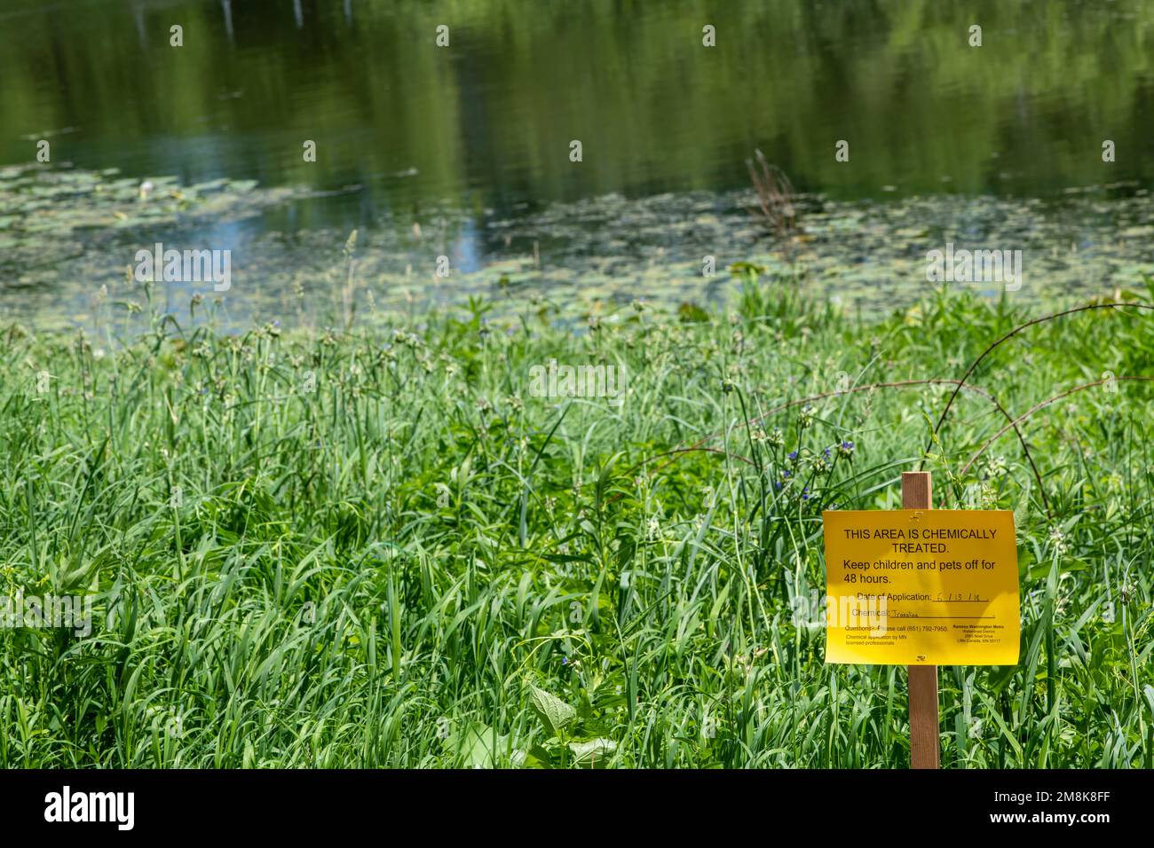 Invasive weeds hi-res stock photography and images - Alamy