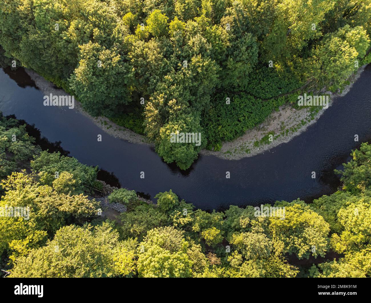 Green trees and a river from above Stock Photo - Alamy