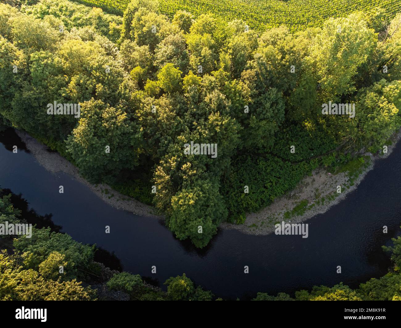 River green trees bushes hi-res stock photography and images - Alamy