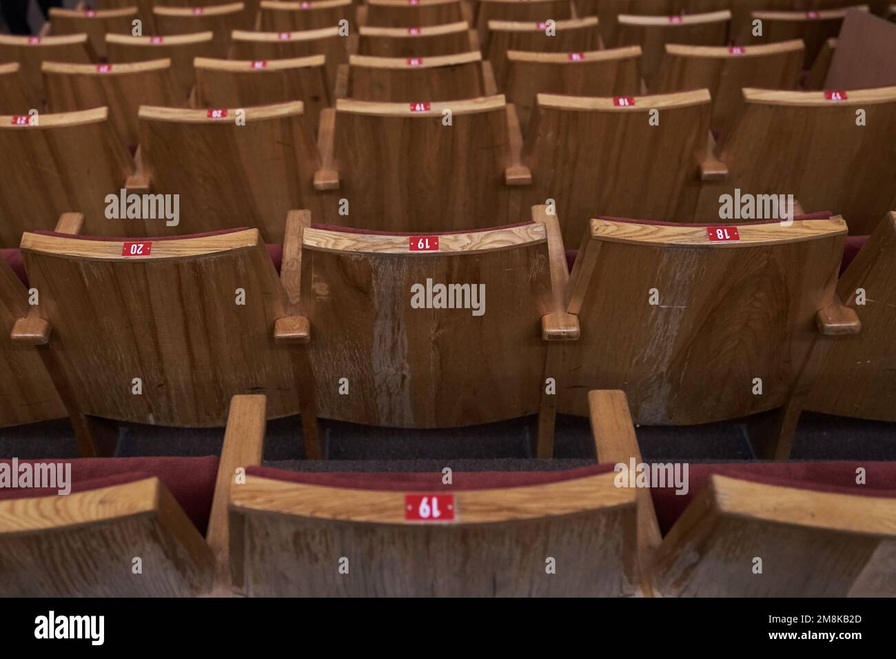 Chairs in a row for the audience. Rear view. The concept of the ...
