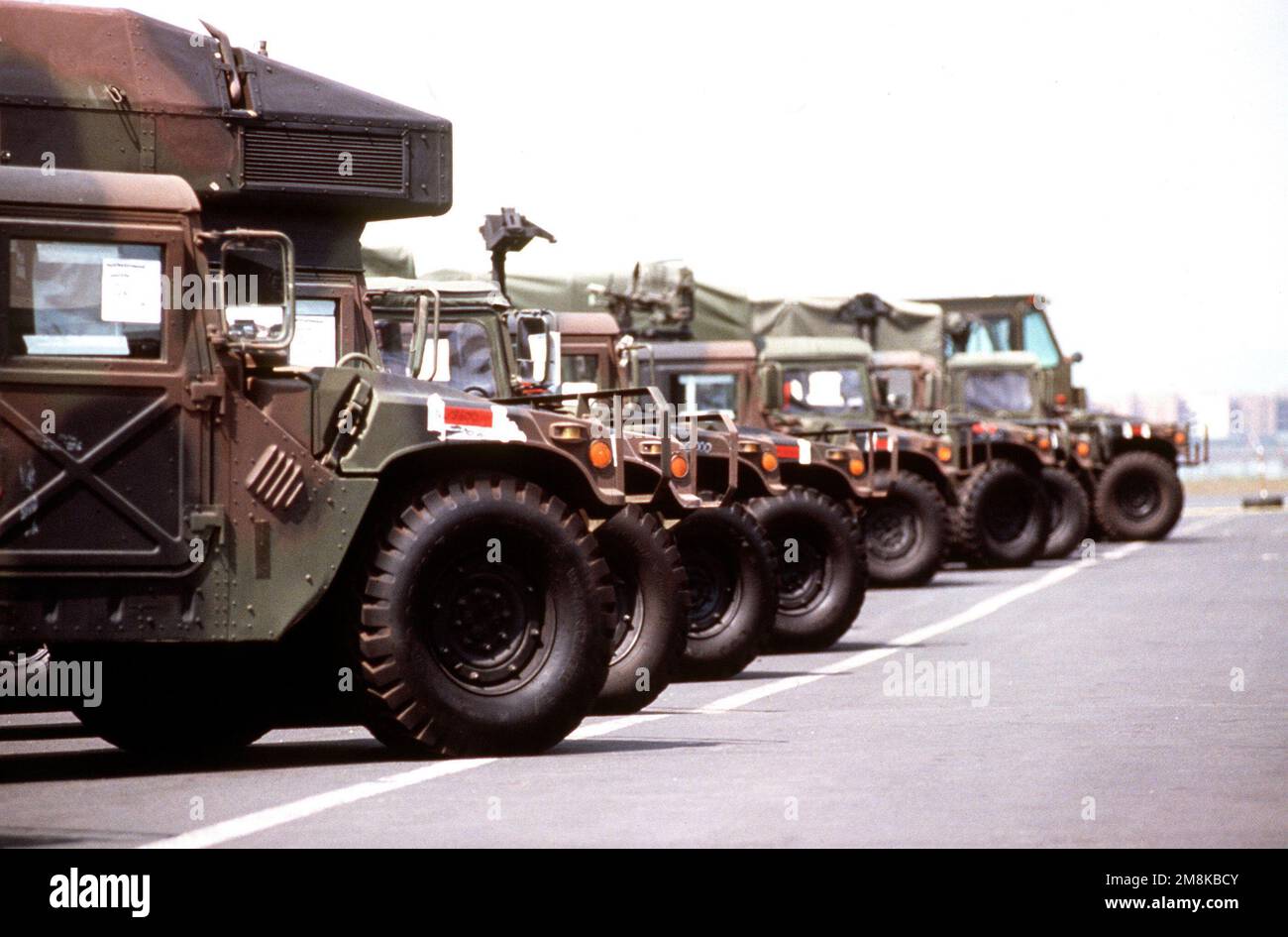Right side view of US Army trucks and vehicles as they are staged for ...