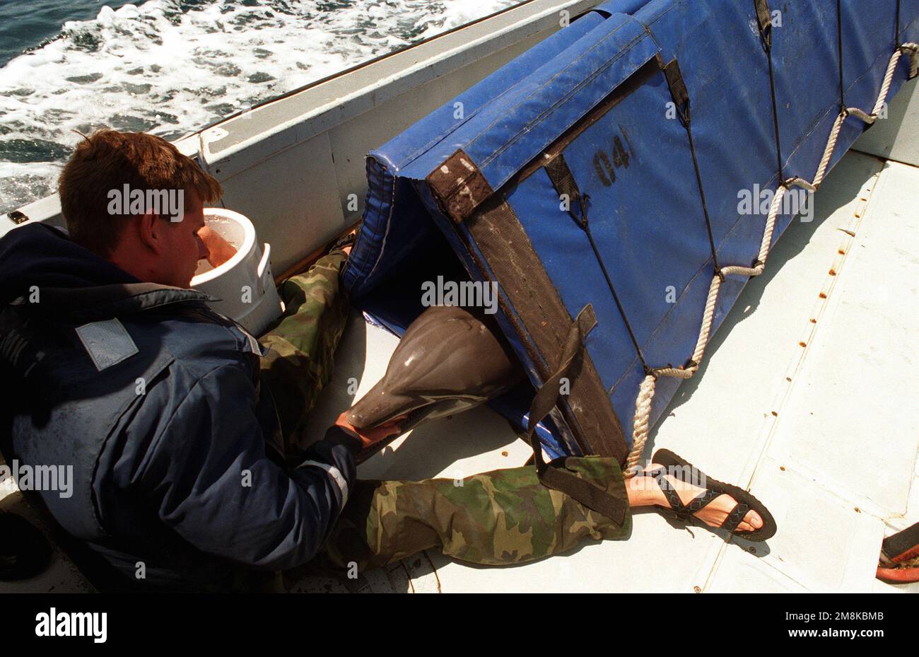 A U.S. Navy dolphin named Ten is rewarded by her trainer, PETTY Officer ...
