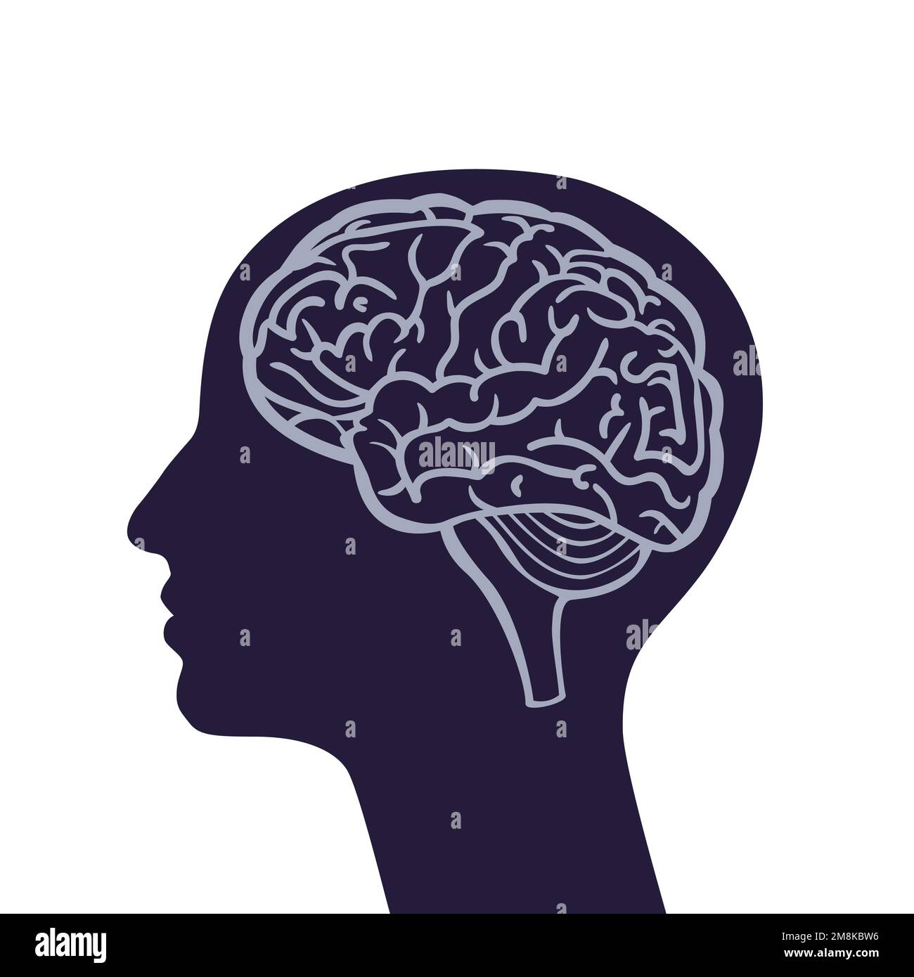 Human head and brain silhouette illustration Stock Vector Image & Art ...