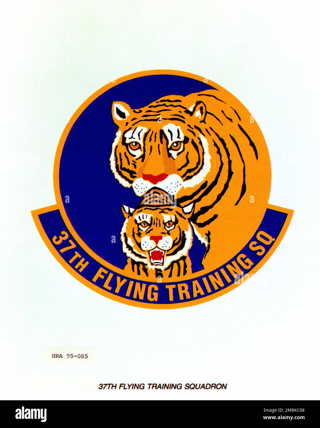 Approved Insignia for the 37th Flying Training Squadron. Exact Date ...