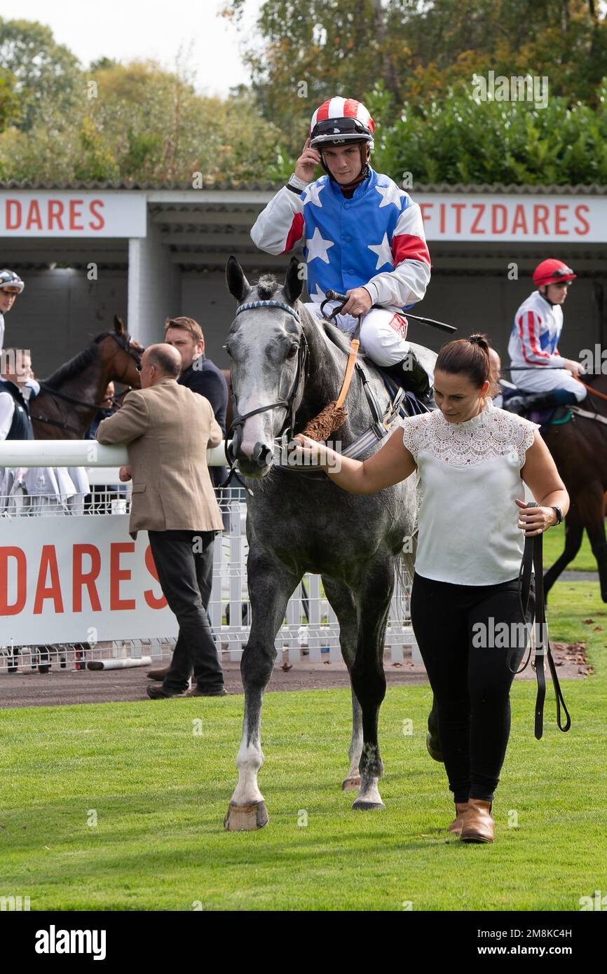 The downland the at the races app handicap stakes hi-res stock ...