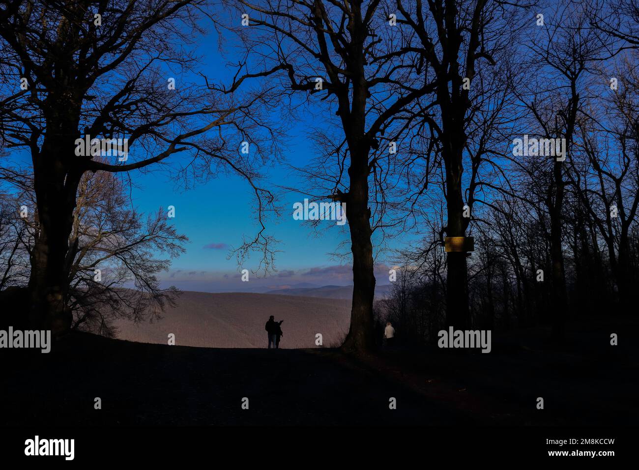 Altitude 700m hi-res stock photography and images - Alamy