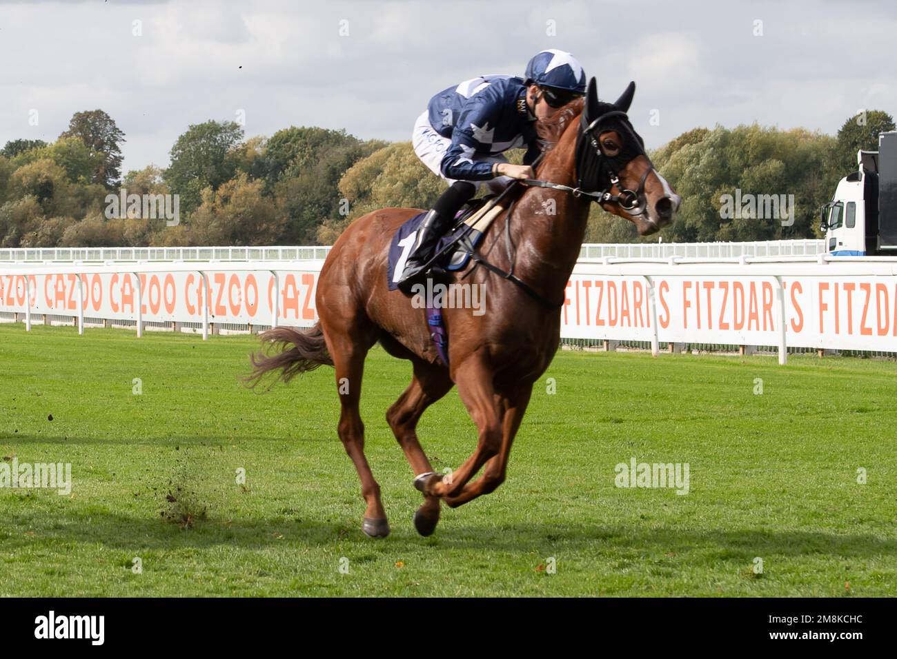 The at the races app market movers maiden stakes hi-res stock ...