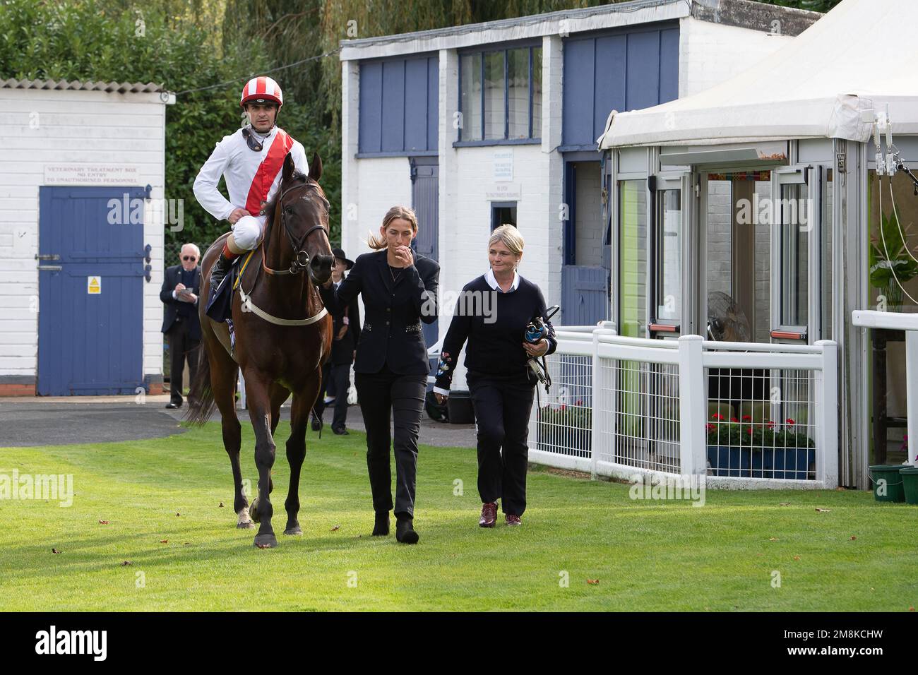 The at the races app market movers maiden stakes hi-res stock ...