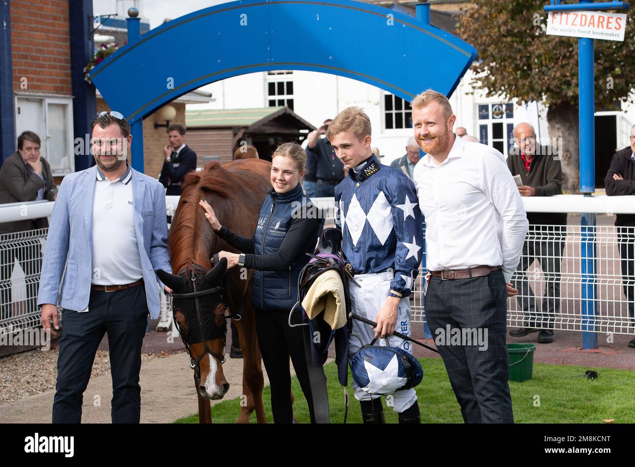 Malpas horse hi-res stock photography and images - Alamy