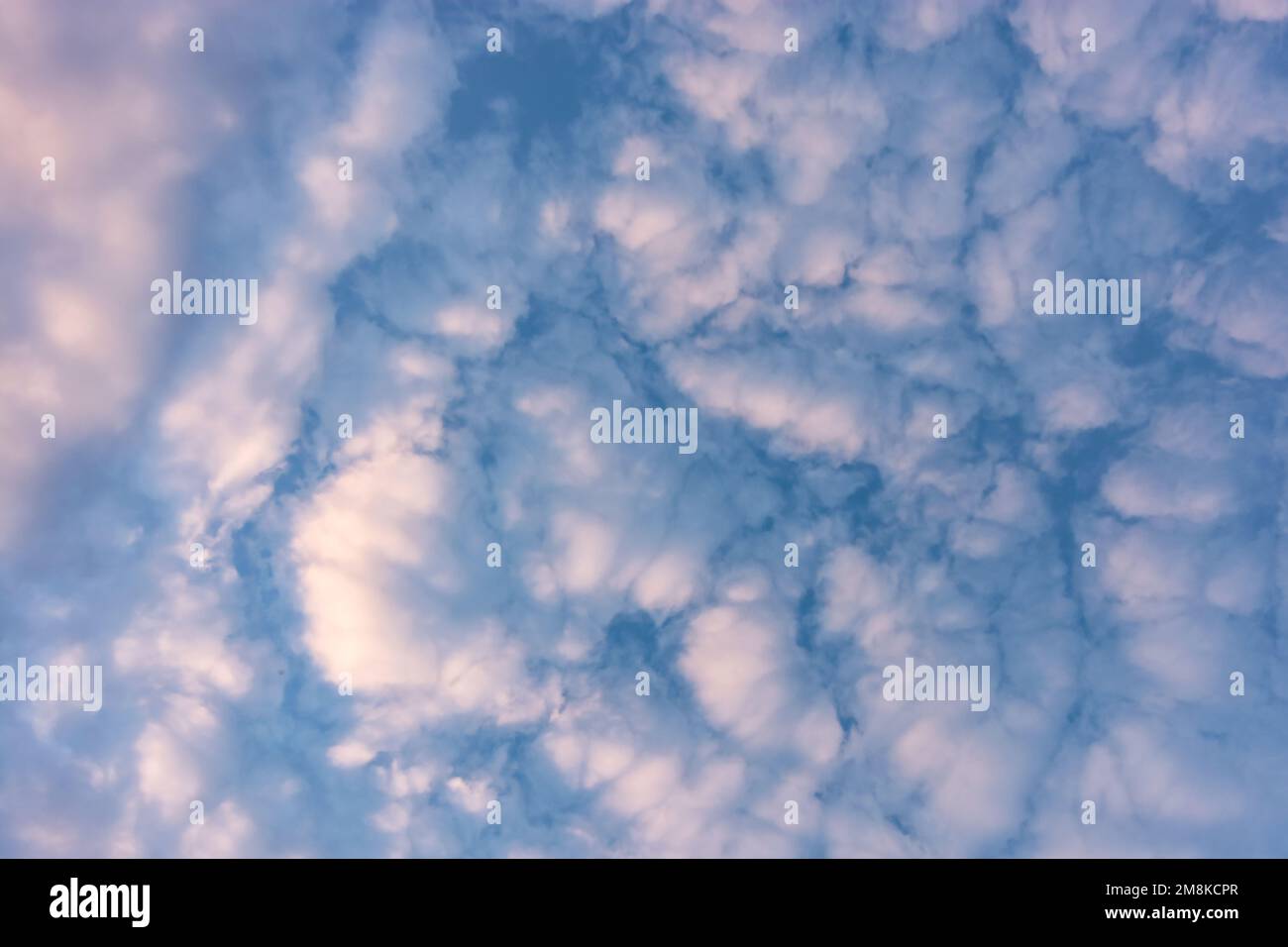 Cumulus clouds at sunset in the blue sky. Backdrop Stock Photo - Alamy