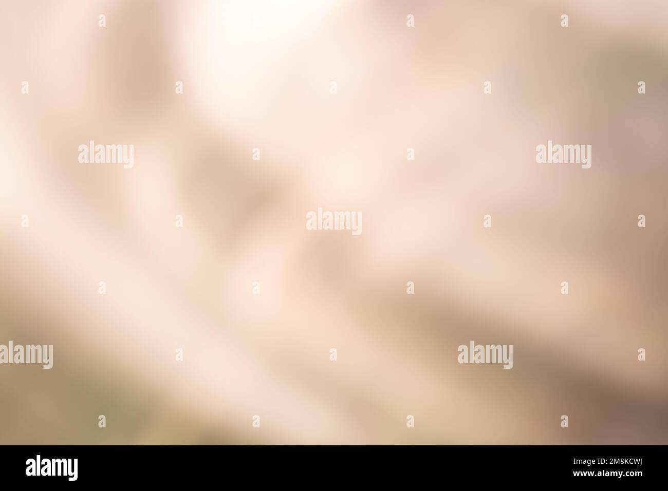 Beige abstract background banner with a side light top and wave ...