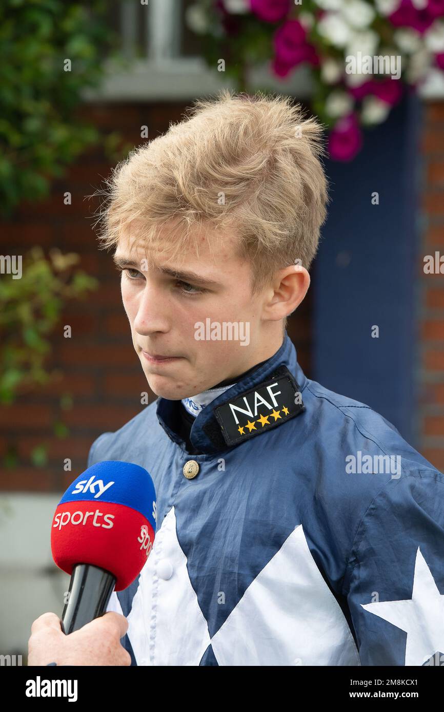 The at the races app market movers maiden stakes hi-res stock ...