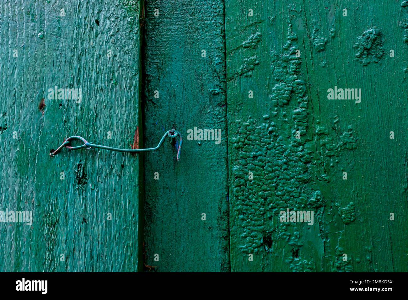 Homemade hook on the gate as a lock. The boards are old painted green ...