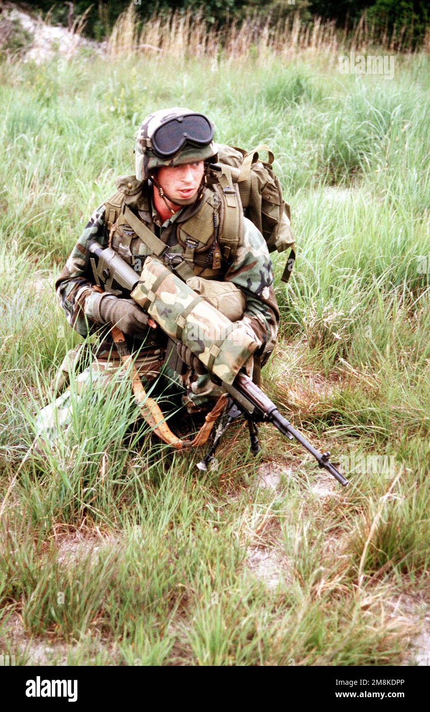 M21 sniper rifle hi-res stock photography and images - Alamy