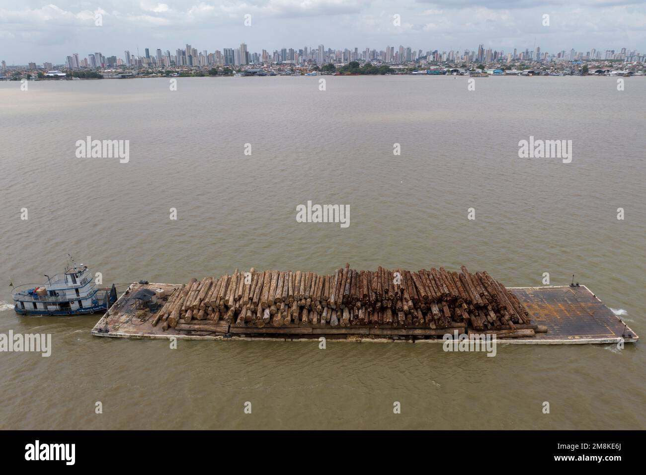 A ferry boat transports logs cut from the Amazon rainforest in Guama ...
