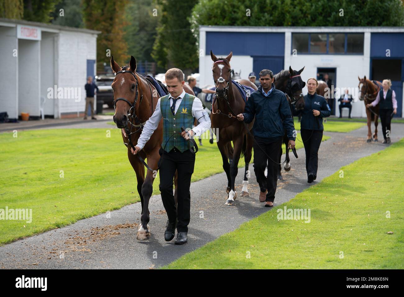 The hippodrome handicap stakes hi-res stock photography and images - Alamy