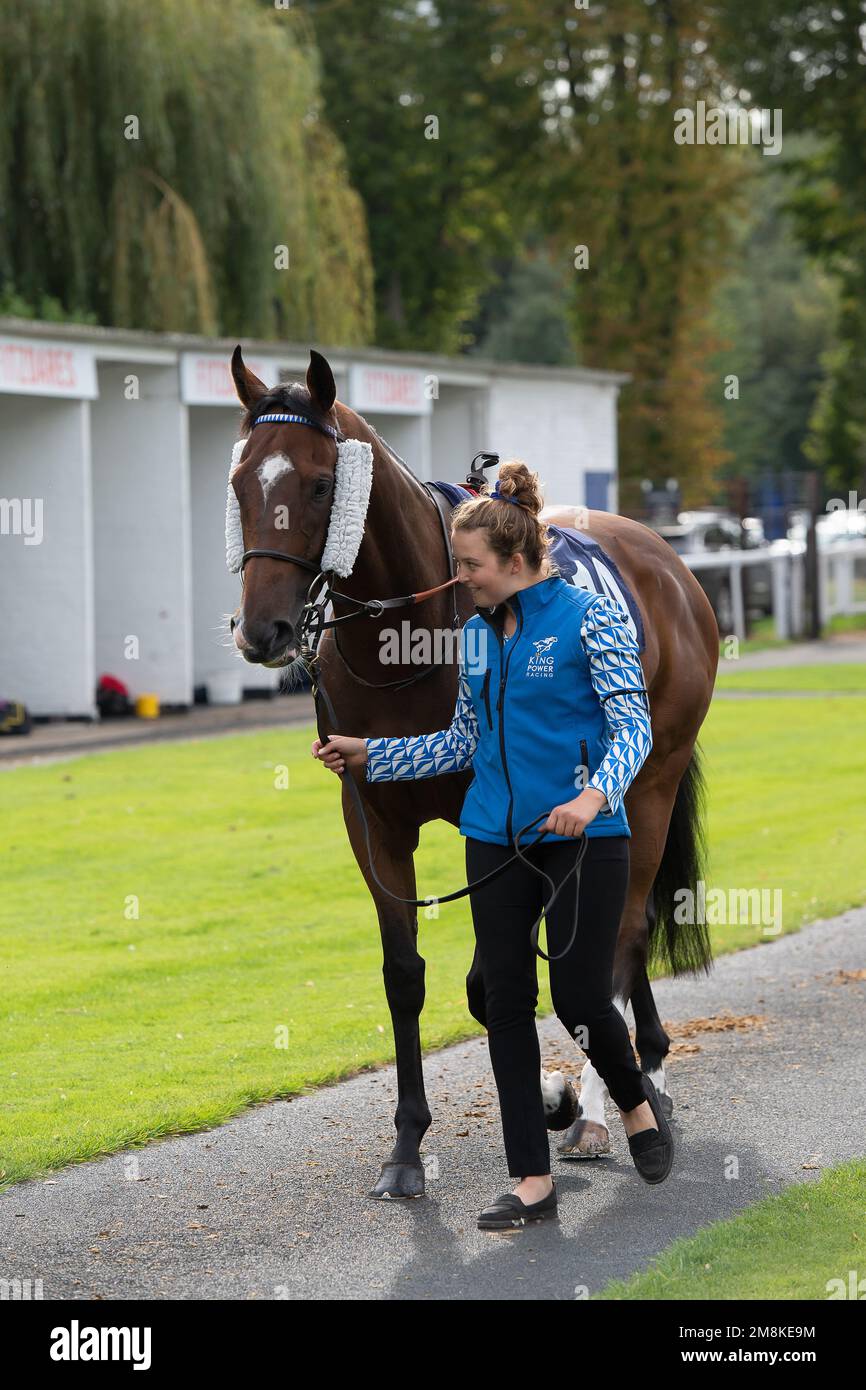 Windsor, Berkshire, UK. 3rd October, 2022. Horse Sky Power in the Pre ...