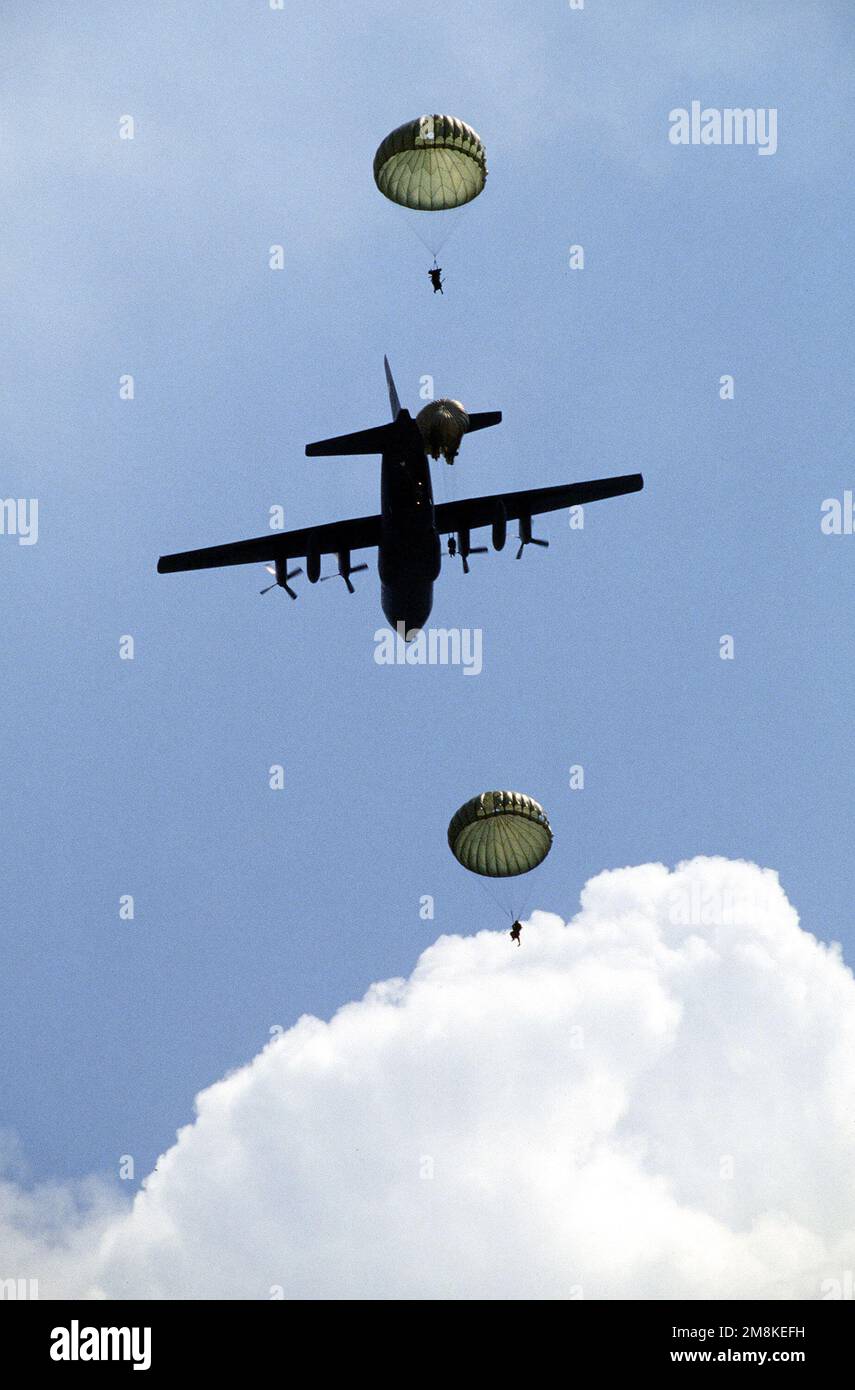 US Army and Hungarian paratroopers jump from a C-130 Hercules over the ...