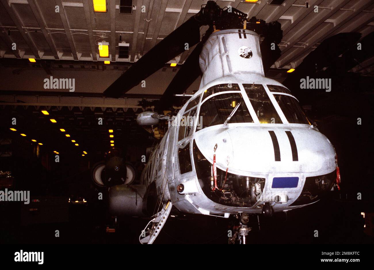 A US Marine Corps CH-46 Sea Knight helicopter is chained down in the ...