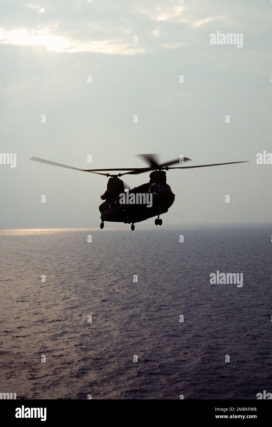 A US Army CH-47D Chinook helicopter from E Company, 502nd Aviation ...