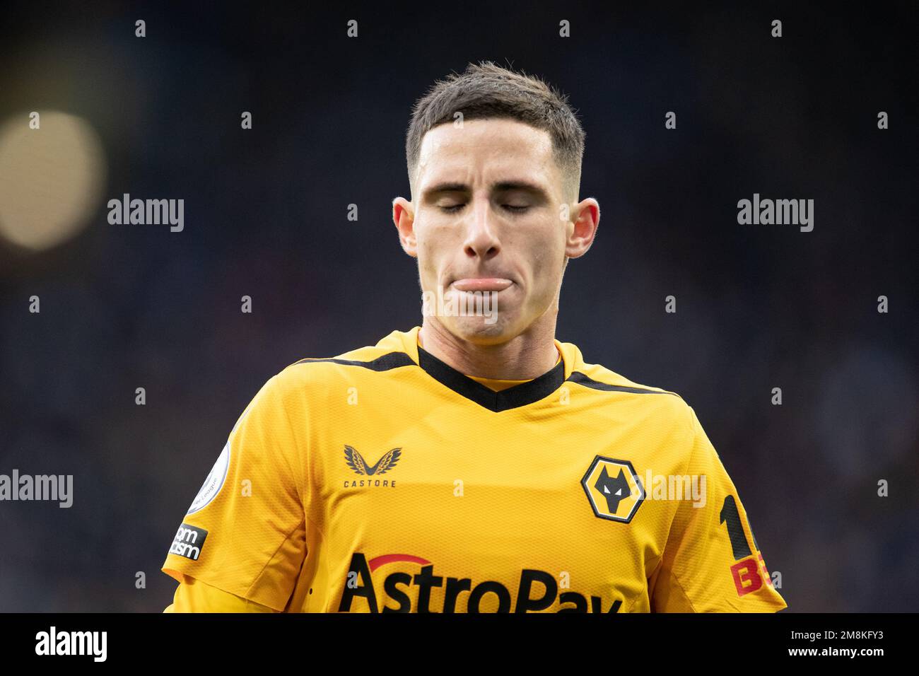 Podence wolves hi-res stock photography and images - Alamy