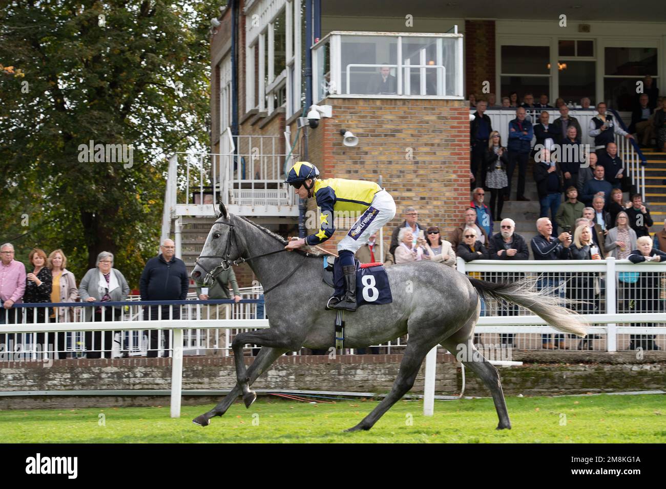 Horse racing at the hippodrome 2022 hi-res stock photography and images ...