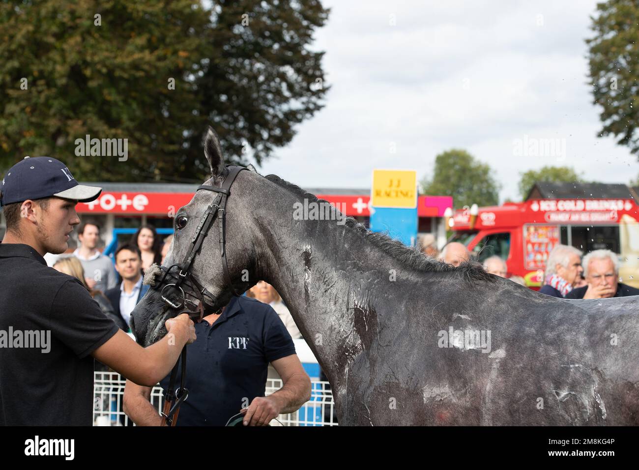 Hippodrome de newmarket hi-res stock photography and images - Alamy