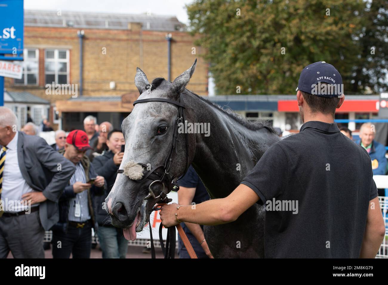Newmarket handicap race 2022 hi-res stock photography and images - Alamy