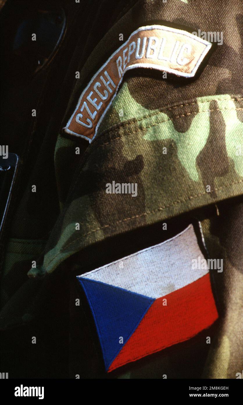 The patches worn by Czech Republic soldiers from 4th Rapid Reaction Brigade, Havlickuv Brod ...
