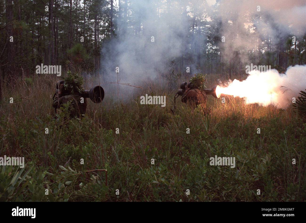 Members of the 3rd of the 15th Infantry Battalion, 24th Infantry ...