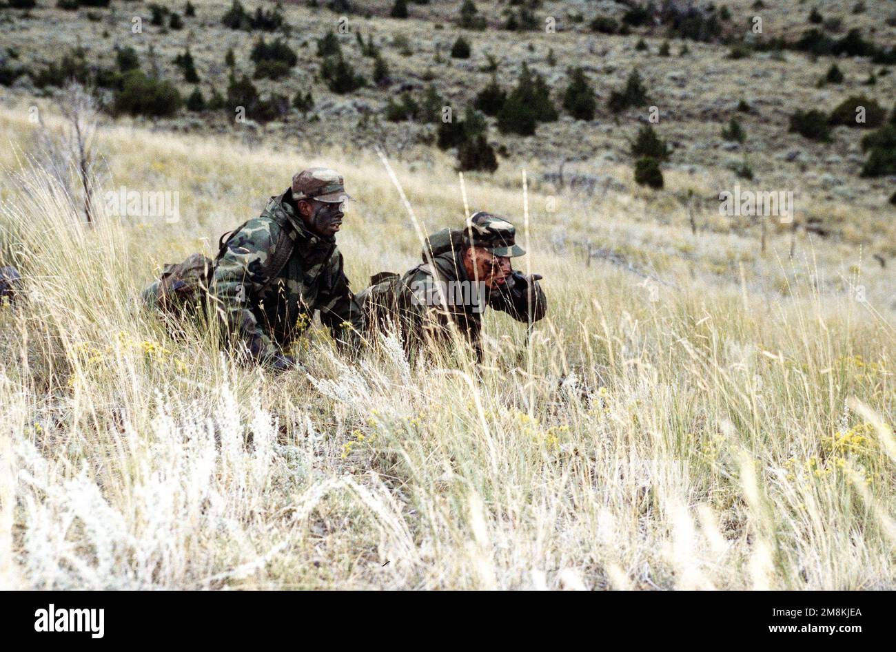 Marauder 1995 hi-res stock photography and images - Alamy