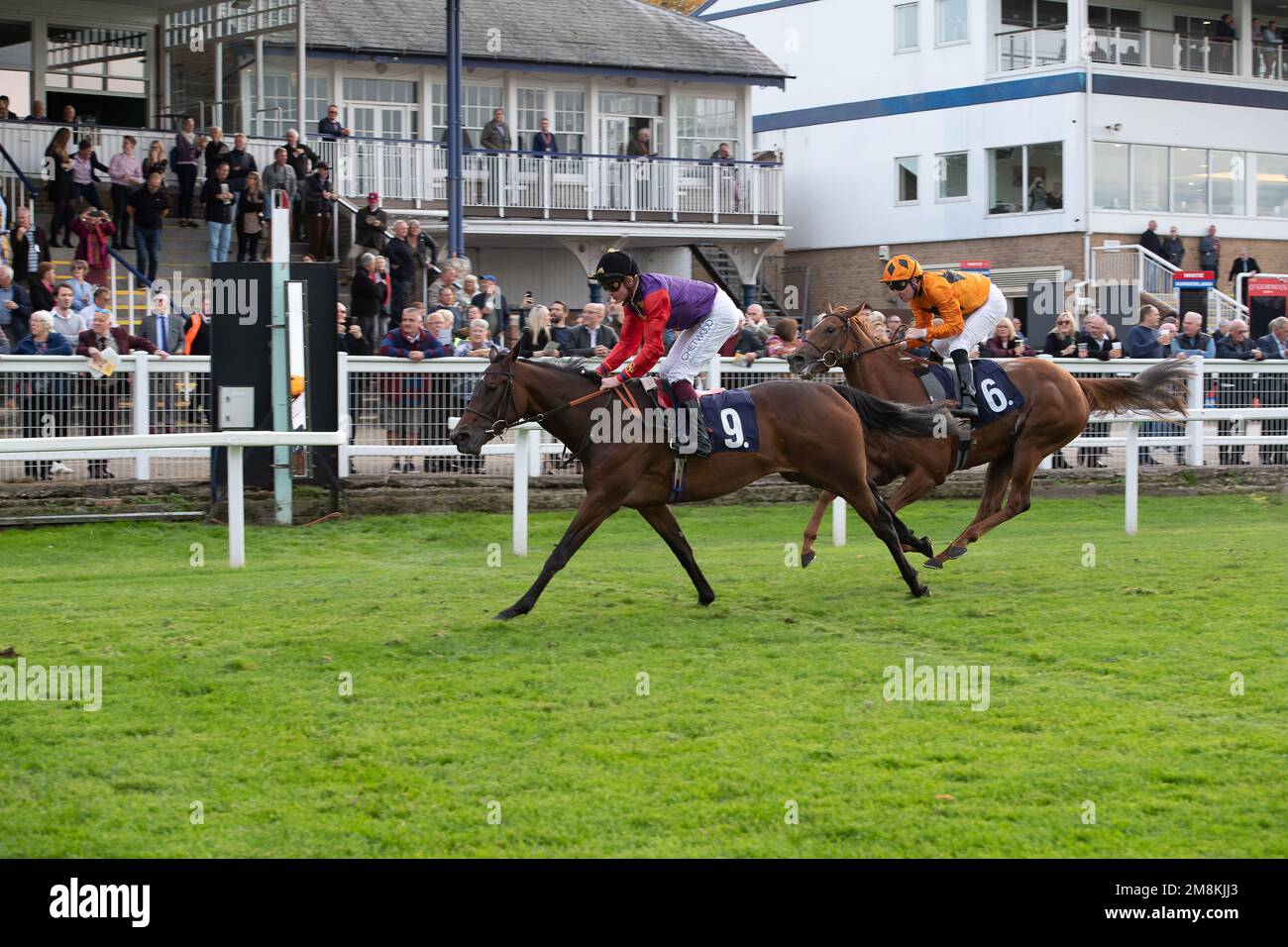 Kings racing colours hi-res stock photography and images - Alamy
