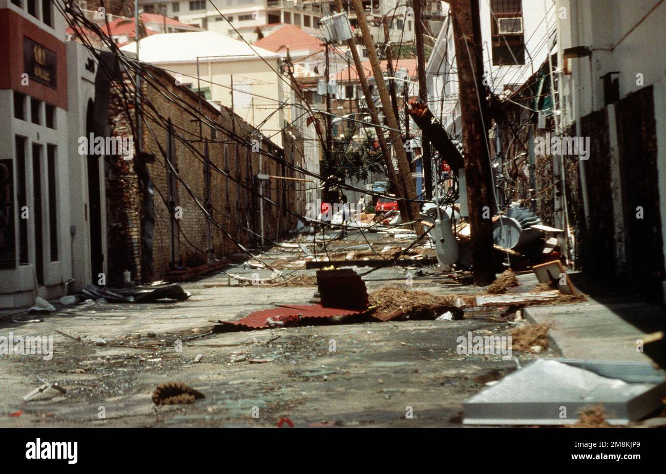 Electrical power and telephone lines blown down by Hurricane Marilyn ...