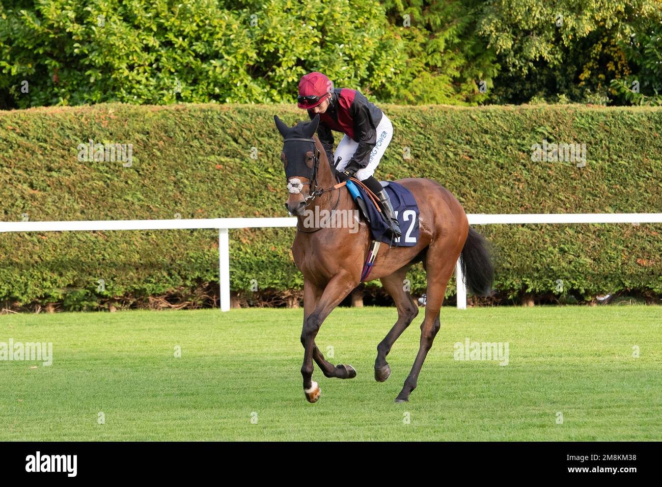 Windsor, Berkshire, UK. 3rd October, 2022. Horse Stara Zinc ridden by ...
