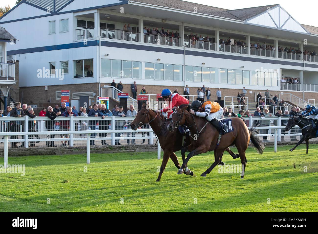 Jade horse hi-res stock photography and images - Alamy