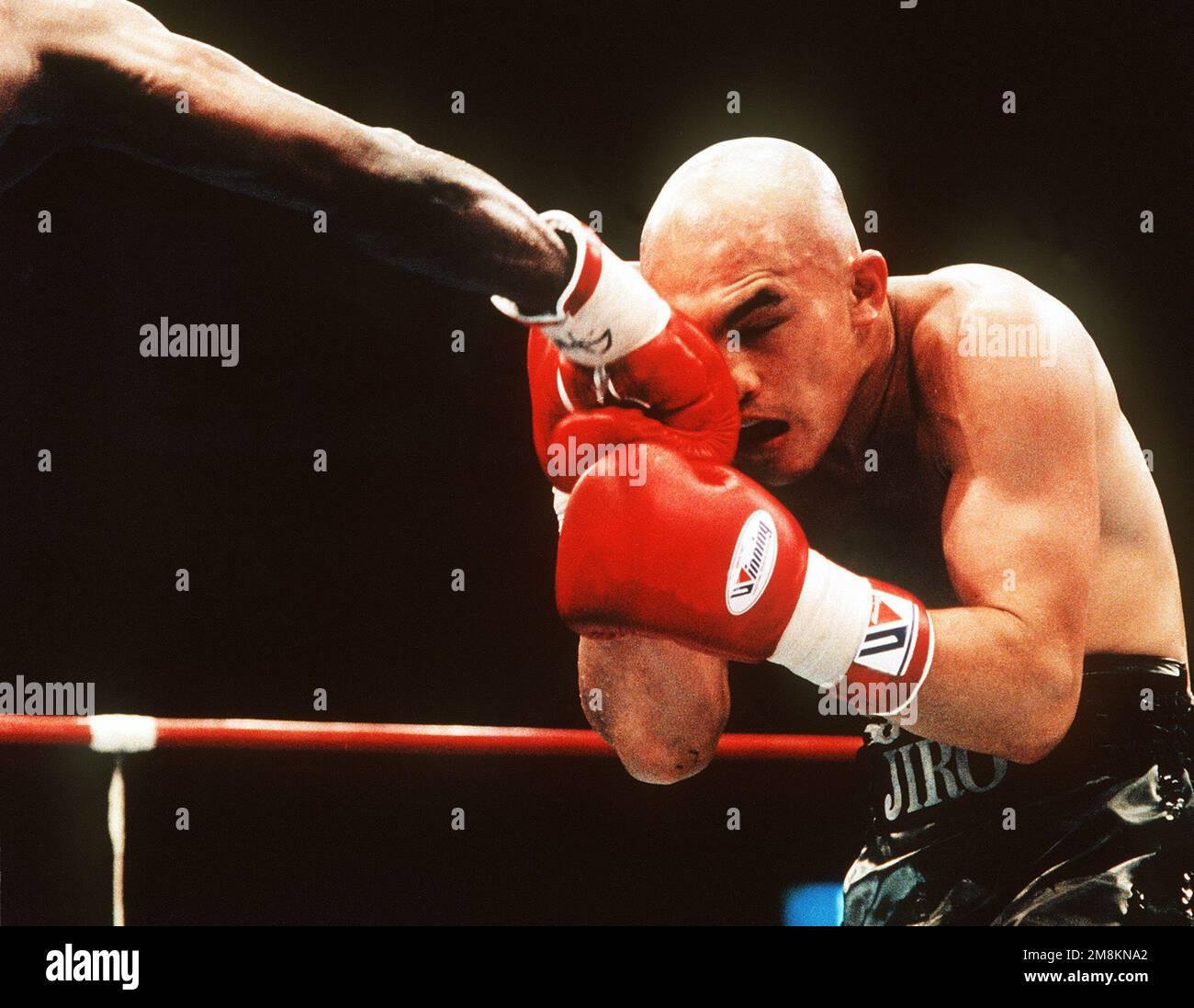 Military Photographer of the Year Winner 1996 Title: Punch Categories ...