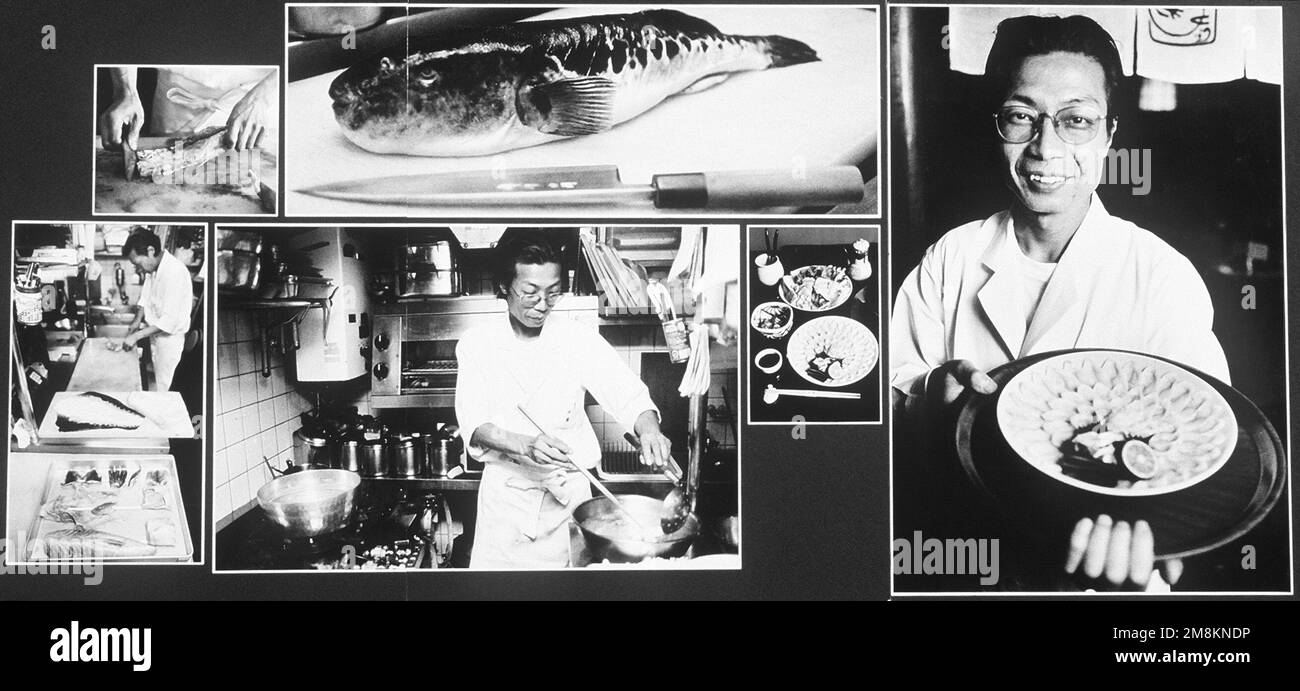 Military Photographer of the Year Winner 1996 Title: The Flak Over Fugu ...