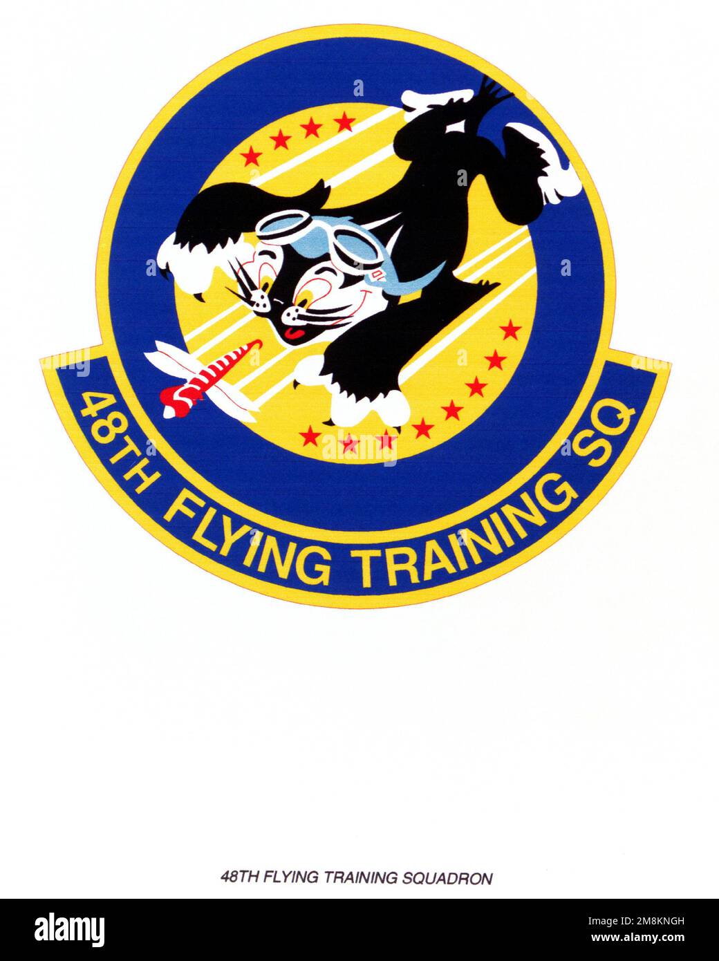 48th flying training squadron hi-res stock photography and images - Alamy