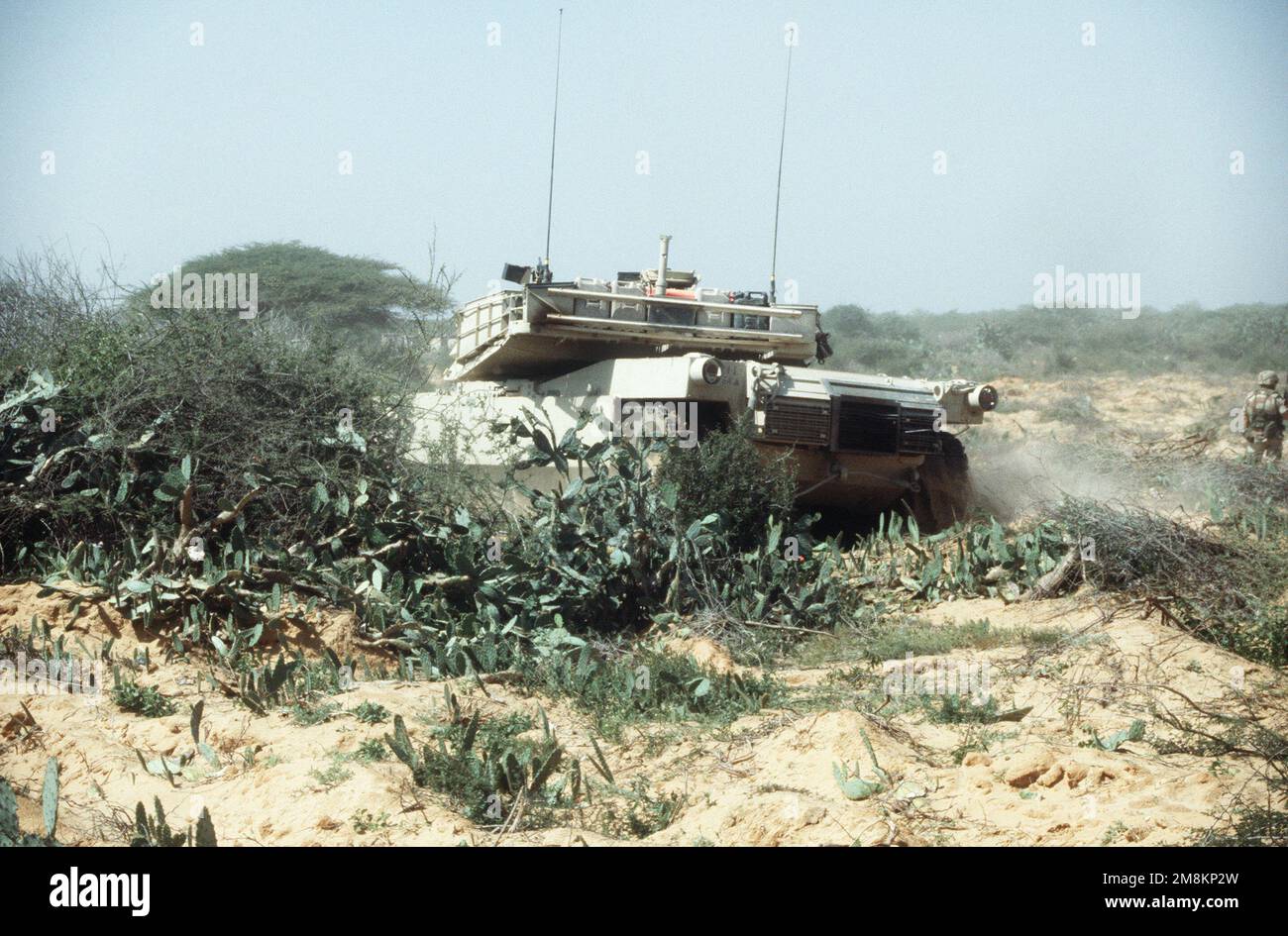 Soldiers from the 24th Infantry Division (Mechanized) participate in an ...