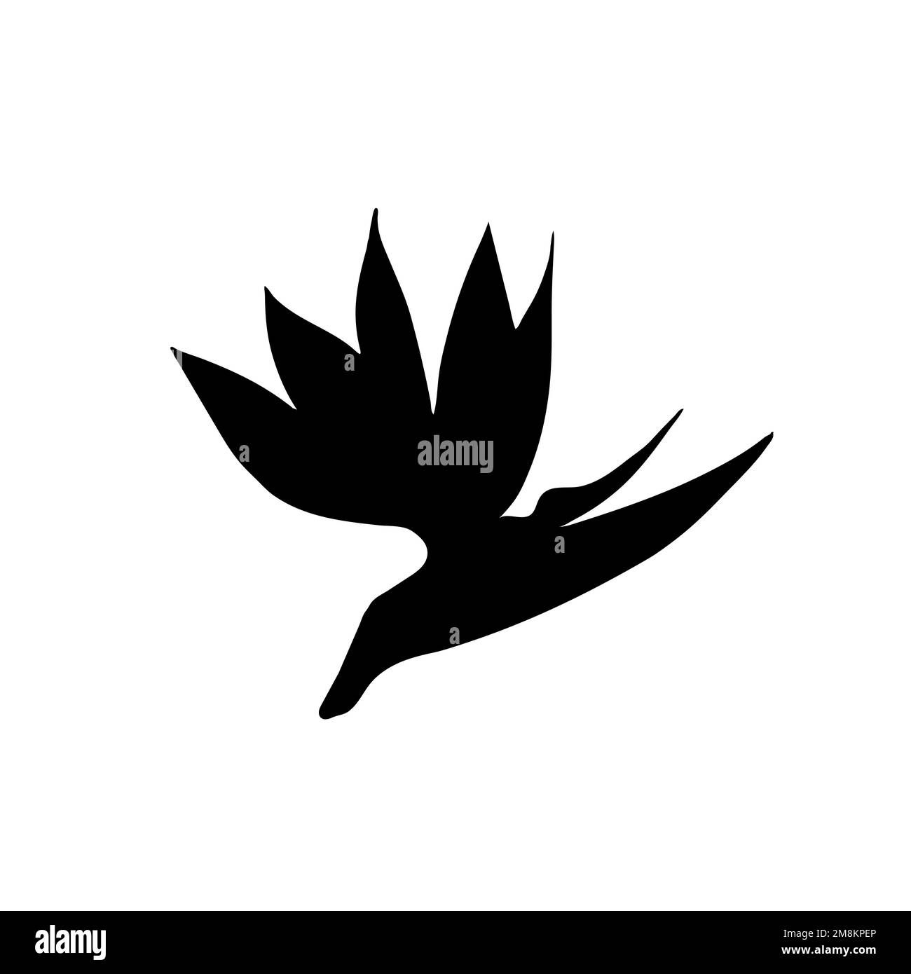 Vector illustration of strelitzia flower Stock Vector Image & Art - Alamy