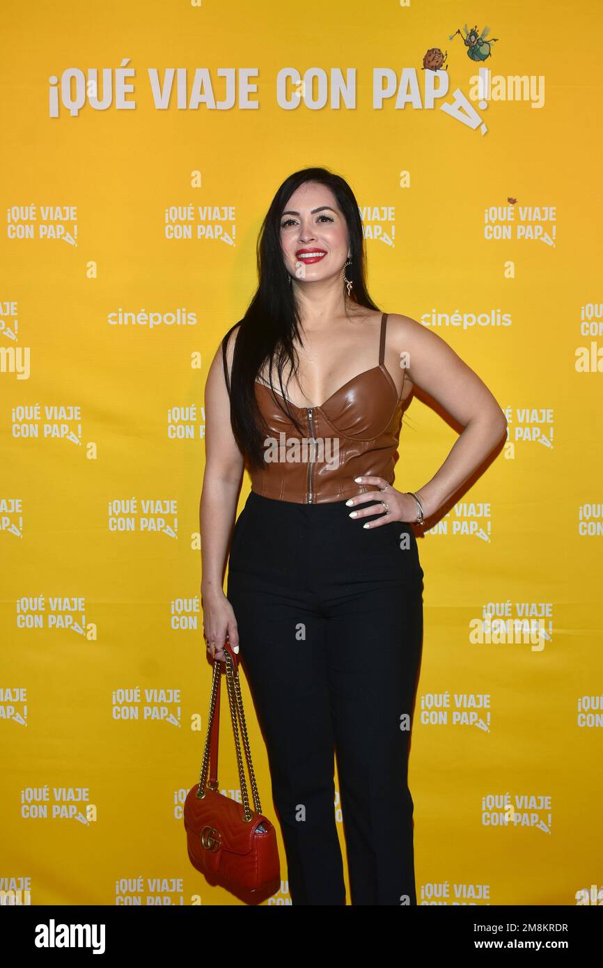 January 14, 2023, Mexico City, Mexico: Sol Montiel attends at Daddy ...